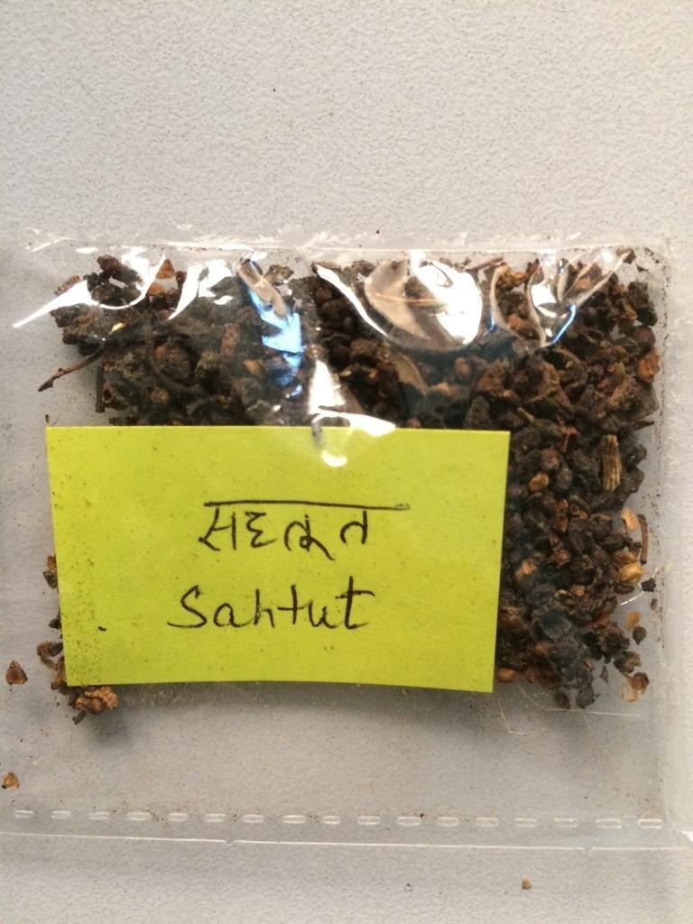 "Unleash the Beauty of Brown and White with Sahtut Seeds in Your Garden ...