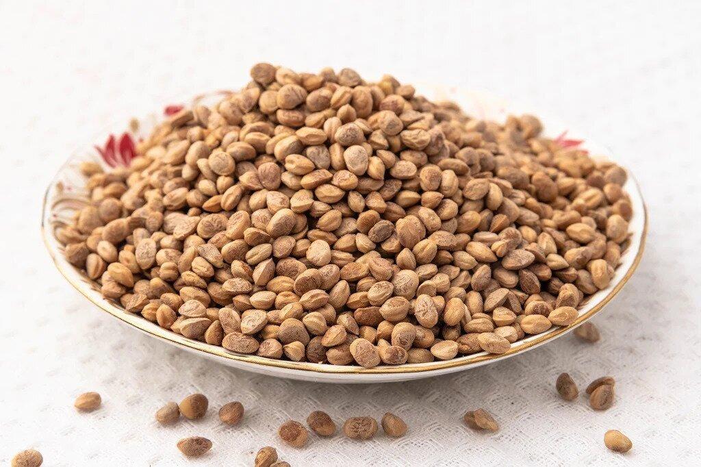 Chironji seeds, Experience the Exquisite Taste of Chiraunji Seed ...